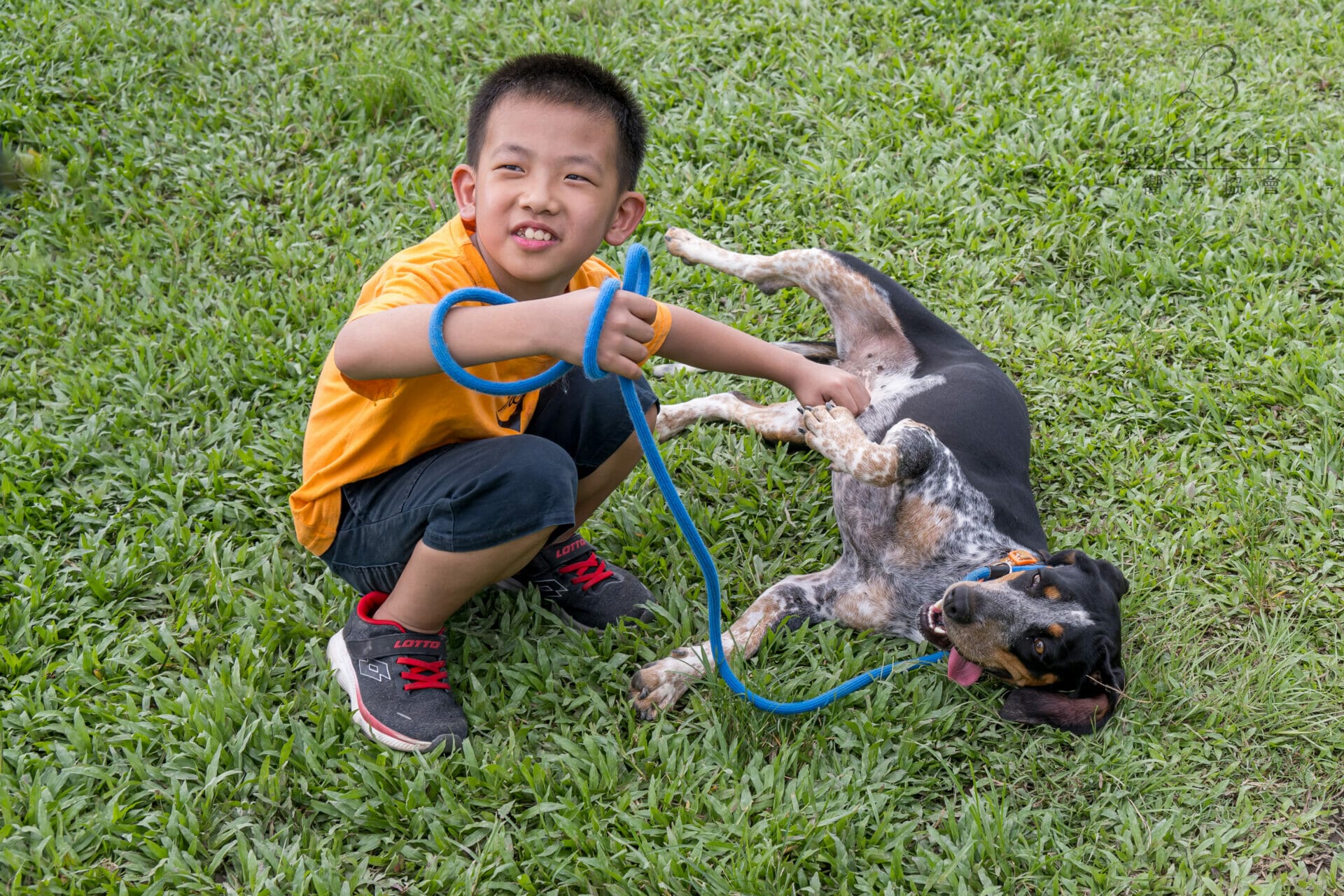 [活動報告]:2023/9/9 【藝術，讓愛發聲】穿越景框，讓愛顯影 paws & pixels Ⅲ | 臺灣嚮光協會 Bright Side Projects